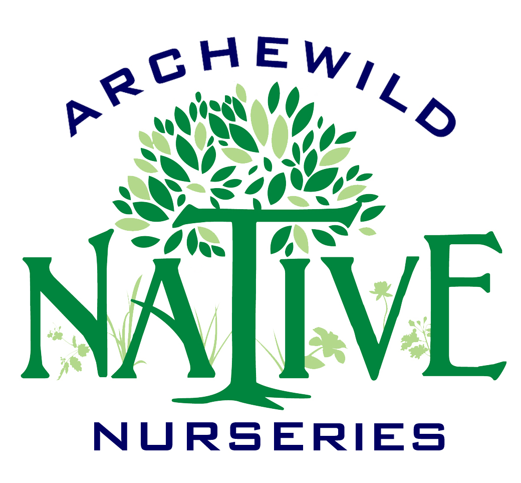 ArcheWild Customer Portal Introduction