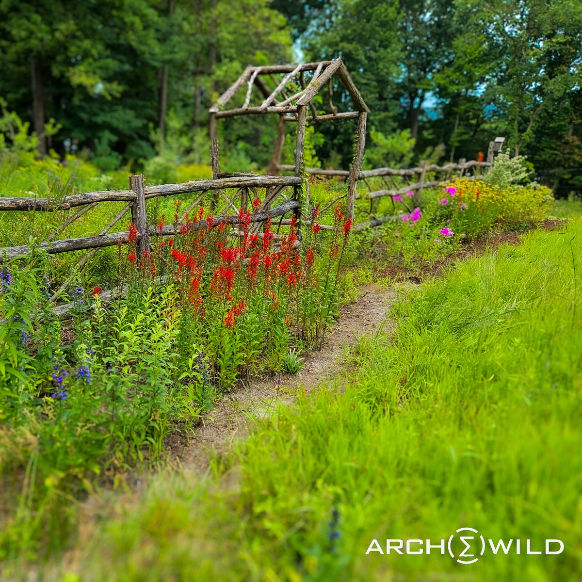 Natural Construction Services | ArcheWild